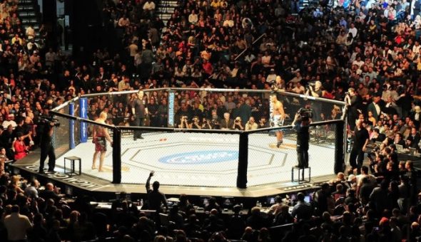 Camino a la UFC en Chile: El octágono