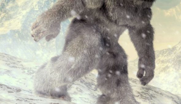 Revelan a quién podrían pertenecer las "huellas del yeti" encontradas ...