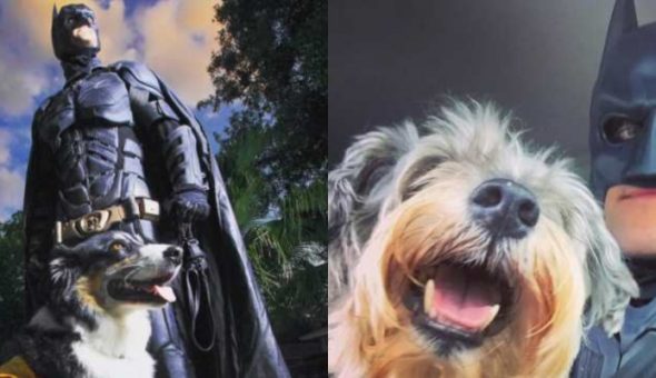 Hombre se disfraza de Batman y salva perritos antes de ser sacrificados