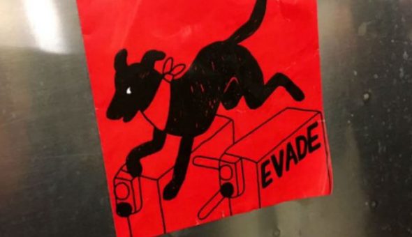 Negro Matapacos: la historia detrás del sticker del perro que apareció ...
