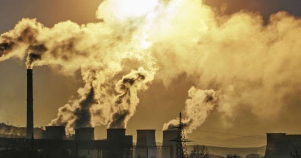 Más de 11.000 científicos de todo el mundo piden declarar la ...