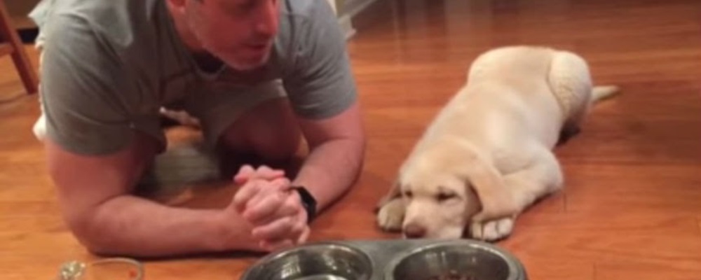 El tierno video de un perrito rezando antes de comer — Futuro Chile