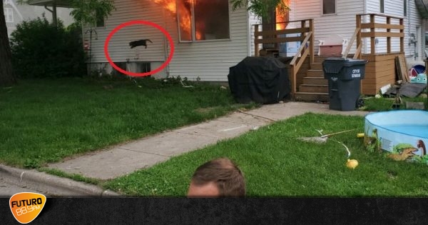 Salvó al perro de su vecino de un incendio, pero se olvidó del gato ...