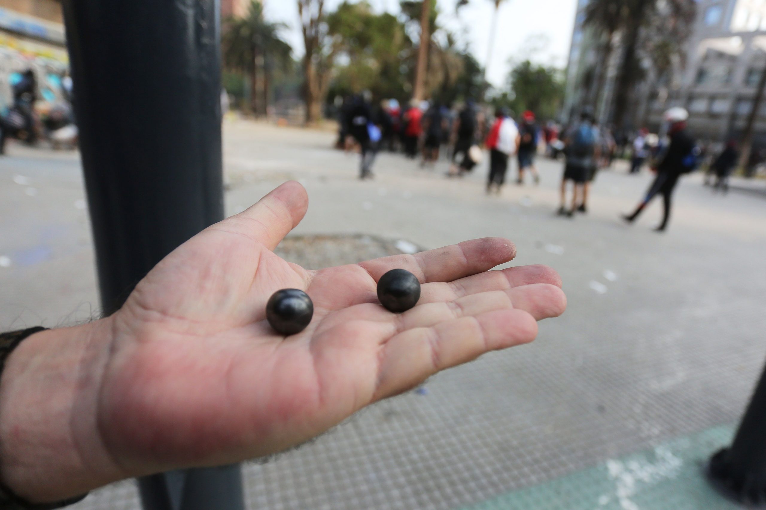 Hoy se estrena documental sobre estudio de balines realizado por la U ...