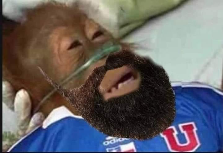 Clásico Universitario: Los memes de la victoria de la UC sobre la U ...