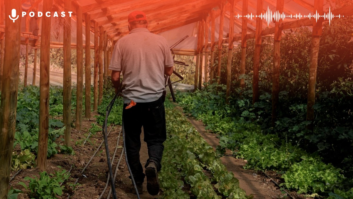 Presidente de Chile Rural: "El subdividir es un aumento de ...