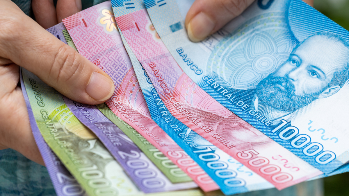 Bonos del IPS 2023: Revisa si eres beneficiario solo con tu RUT ...
