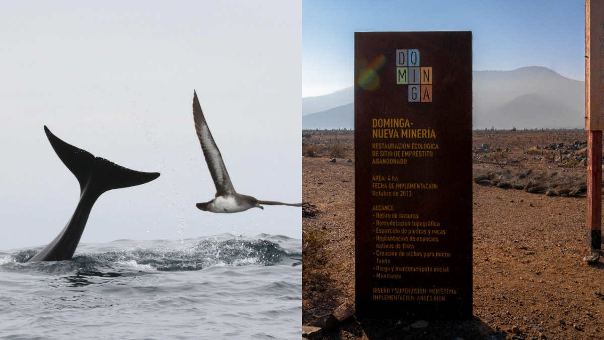 Organizaciones instan a Comité de Ministros para que rechace proyecto ...