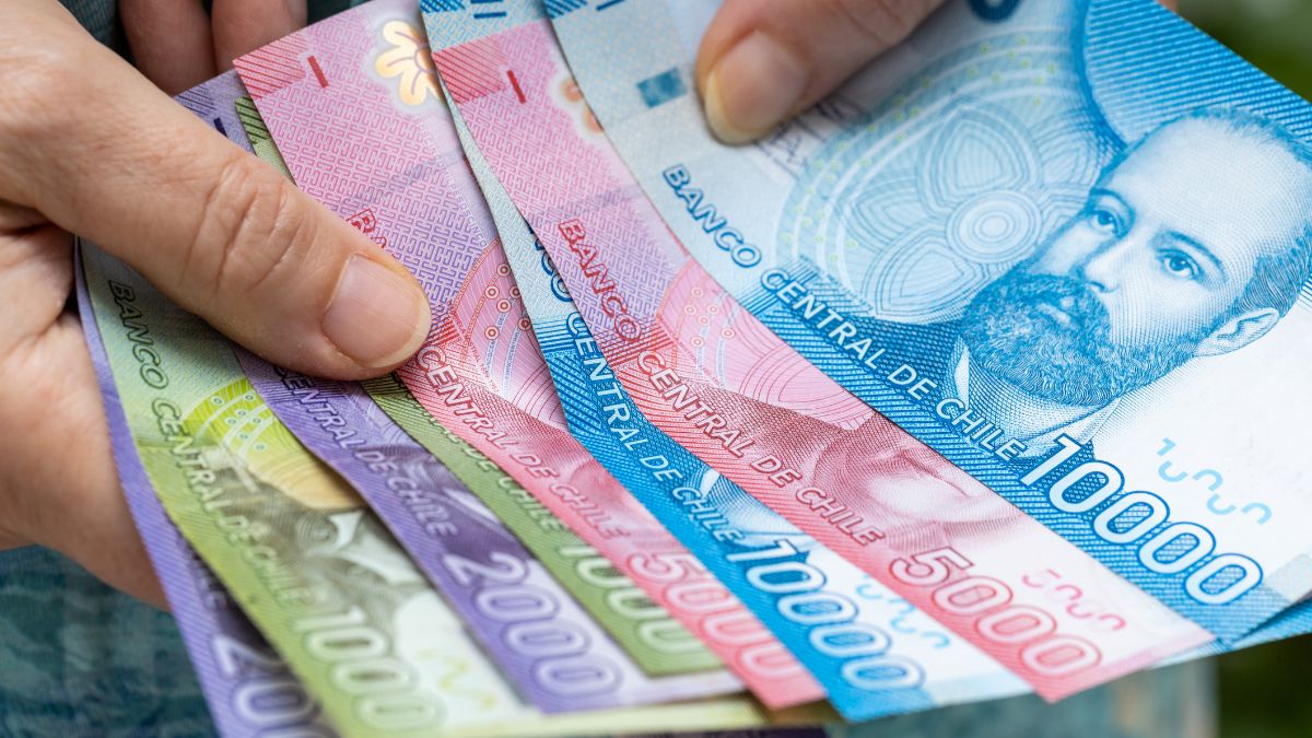 IFE Laboral: Revisa si eres beneficiario solo con tu RUT — Futuro Chile