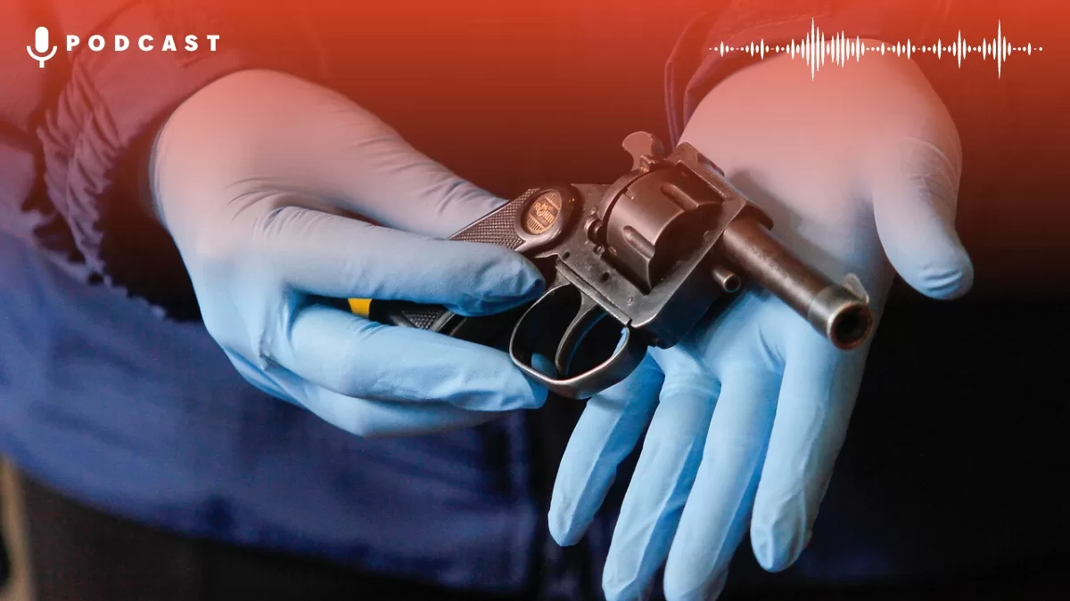 Juez de Policía Local: "Hay que modificar la ley de control de armas ...