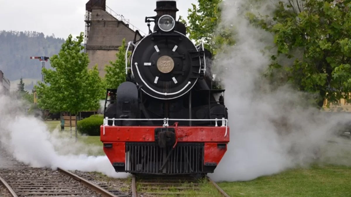 Tren al Sur: El Viaje Musical que te lleva a Valdivia y a Fluvial 2024 ...
