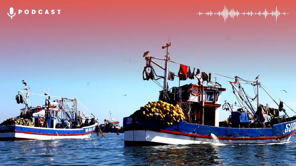 "En el mar chileno hay espacio para todos: pymes, pesca artesanal e ...
