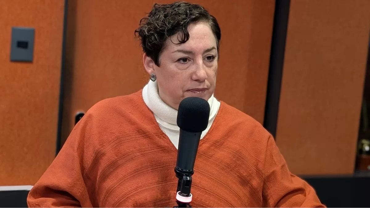 "Nos puede ir bien o no, pero ya existimos en la política": Beatriz Sánchez descartó que ...